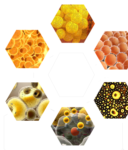 Physicians can choose the optimal biologic solution